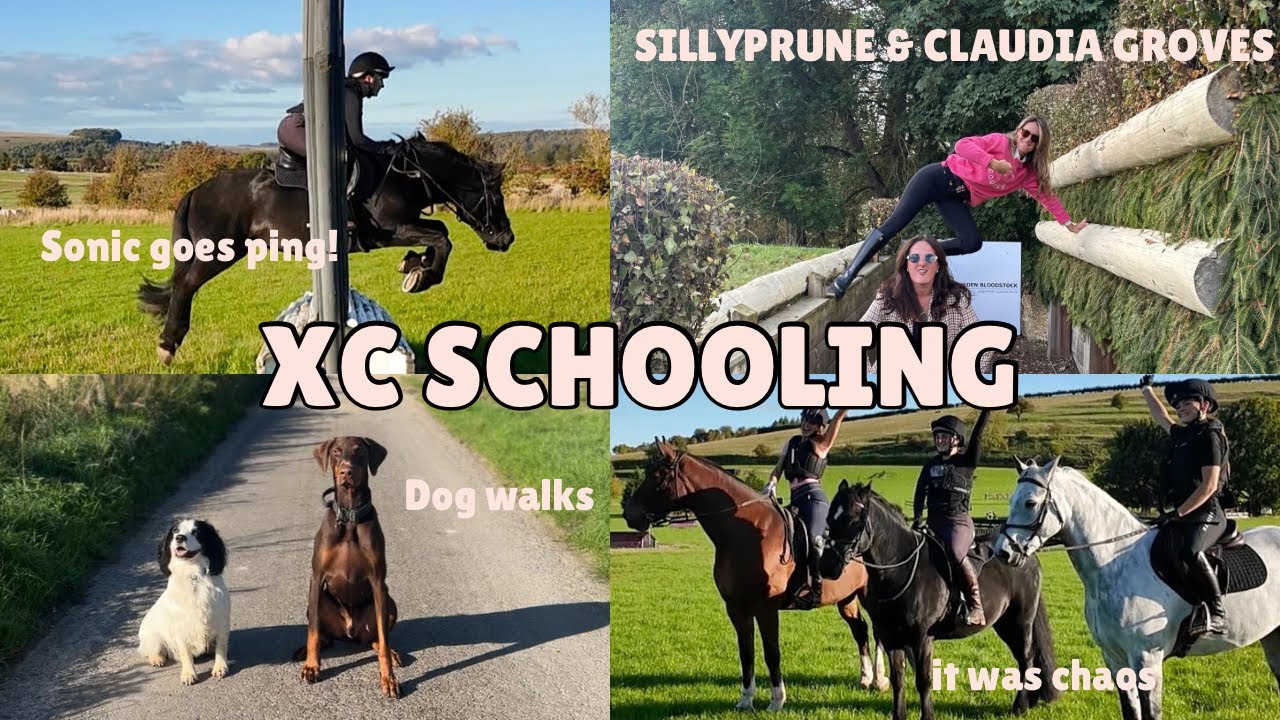 CROSS COUNTRY SCHOOLING WITH SILLYPRUNE & CLAUDIA GROVES - YouTube