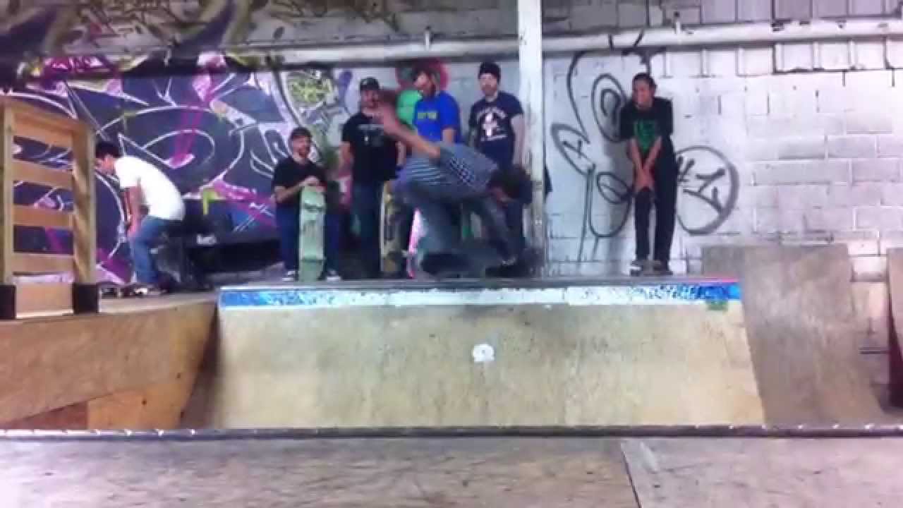 Pardon My Thrashing: F*ck Yeah Skate Gang Rides Again - The Asylum 11. ...