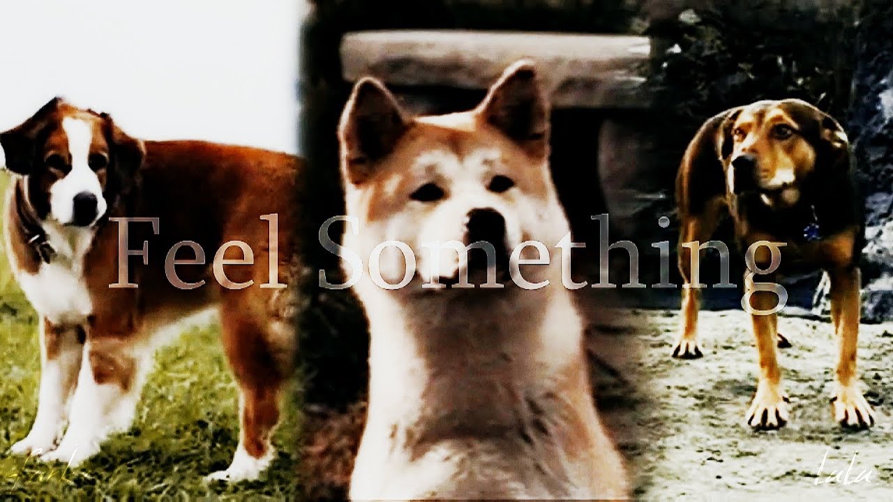 Dogs Multifandom Feel Something Collab w\ Lulu - YouTube