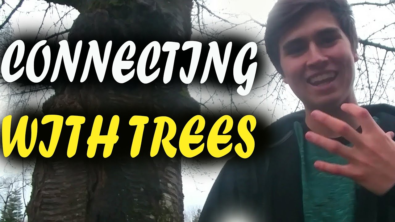 Talking To Trees - Connecting With Tree Wisdom - YouTube