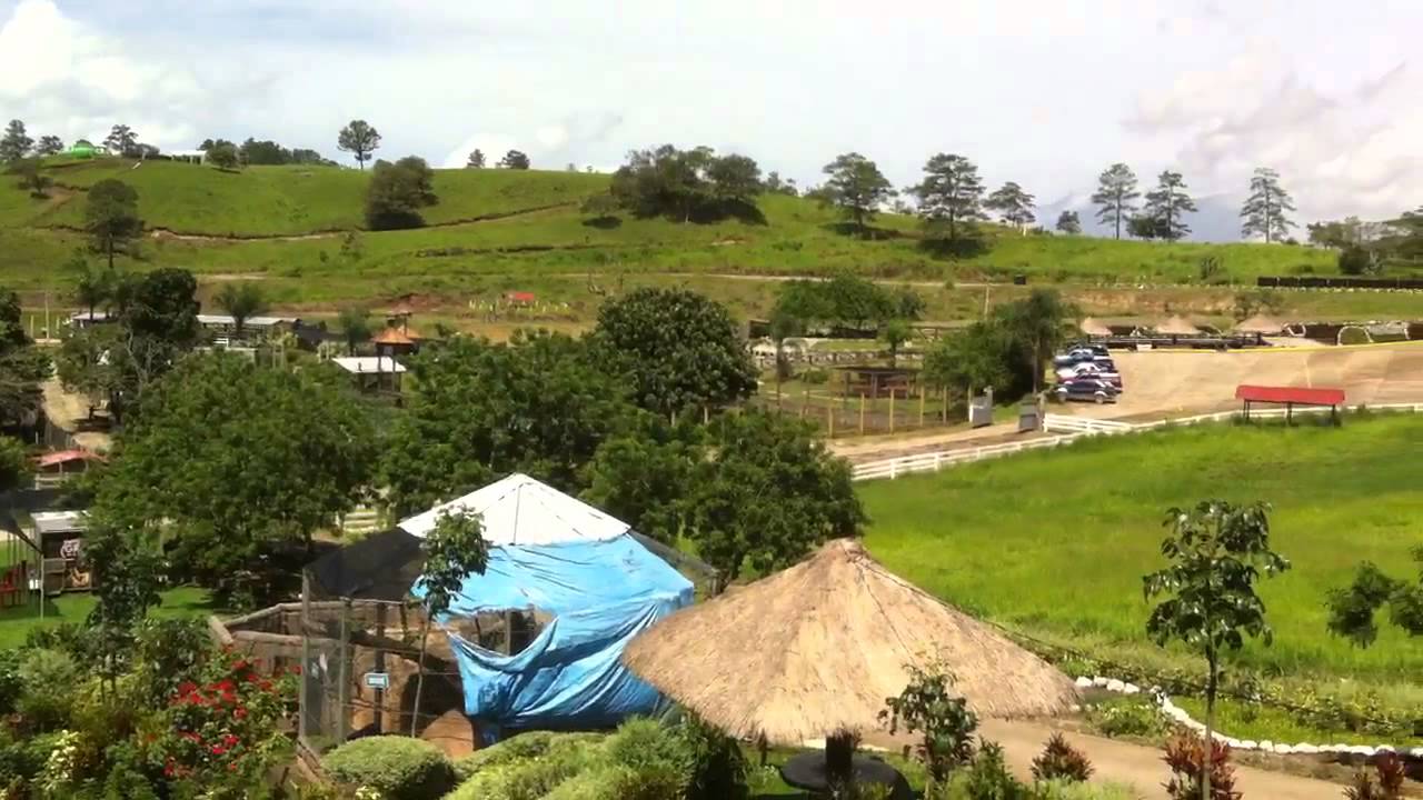 Zoo joya grande - YouTube