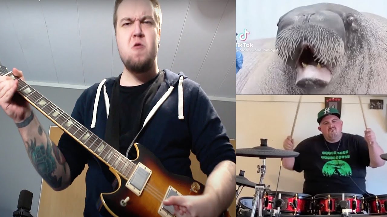 WALRUS meets METAL with David Paradis - YouTube