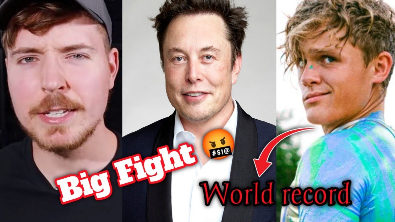 Big fight 🤬Mr. Beast angry on Elon Musk ||Piediepew made hats for cats ...