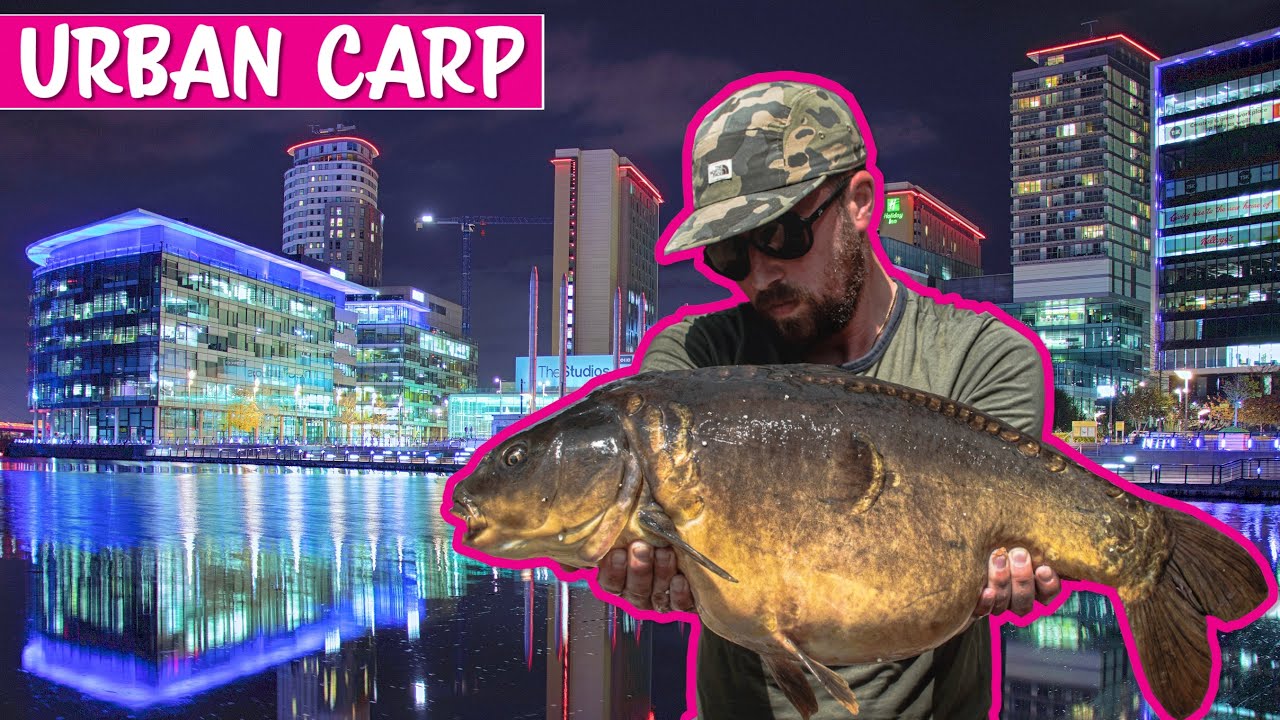 URBAN CARP FISHING | Urban Diaries: Salford Quays (MediaCityUK) - YouTube