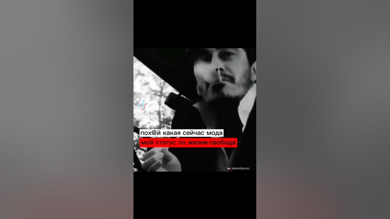 похуц - YouTube