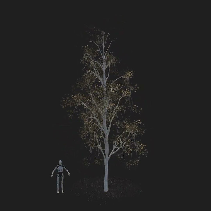 Birch Autumn V4 Gamedev 3dmodeling Unity Unityassetstore Unityasset Speedtree Youtube