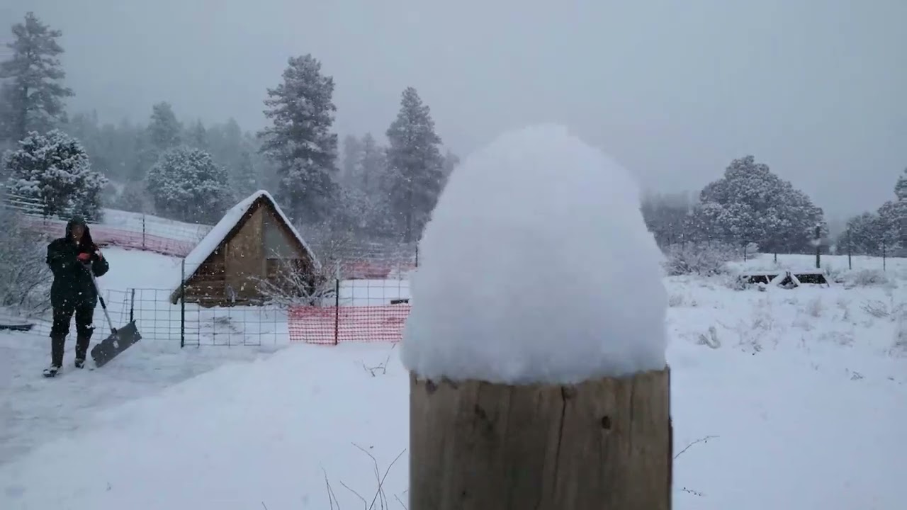 March Snow BOOM! - Snow Chickens - The Fringe Minority - YouTube