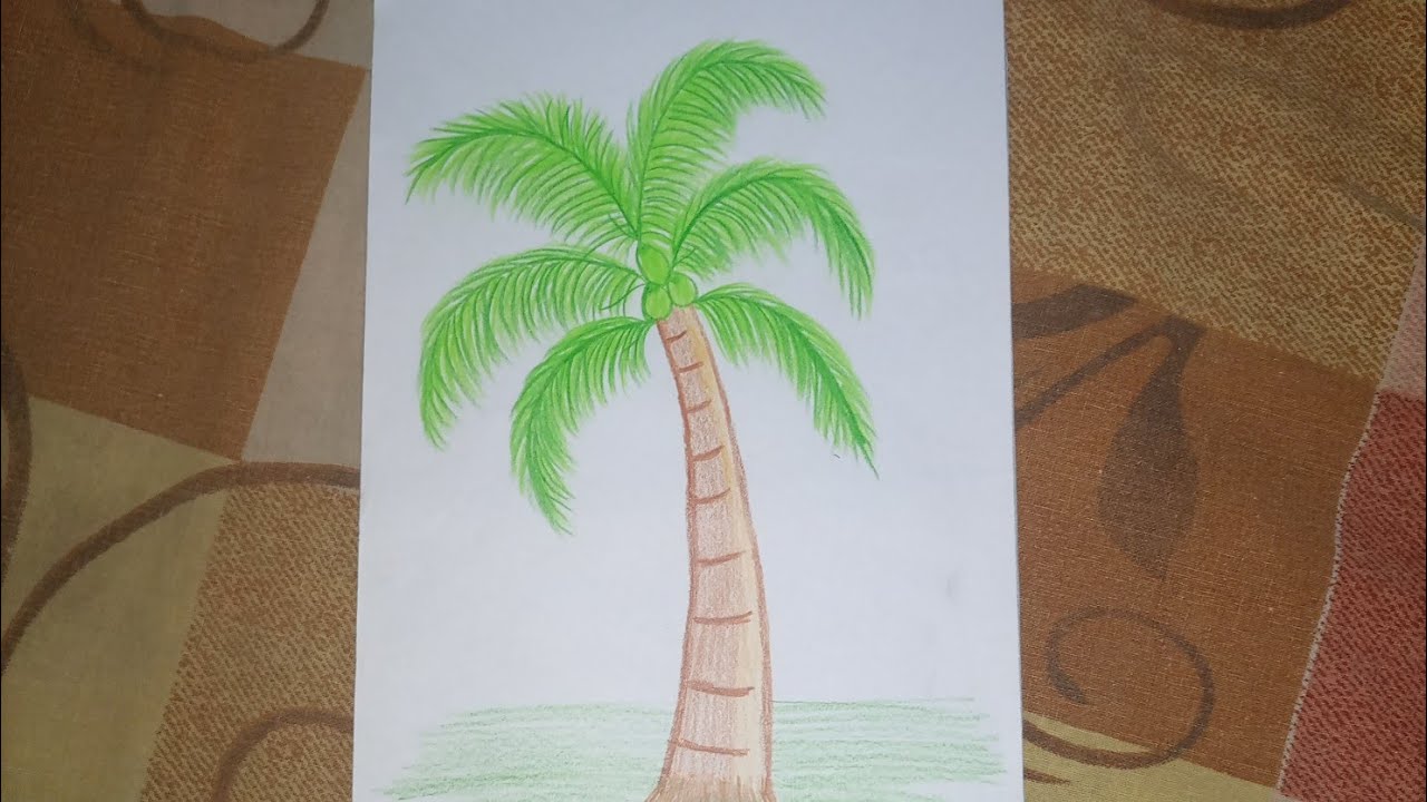 Coconut tree drawing. Easy coconut tree 🌴🌴 - YouTube