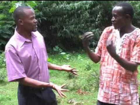 My Dear - Jua kali band
