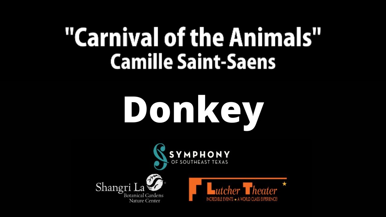 The Carnival of the Animals by Camille Saint-Saëns performed by S.O.S.T ...