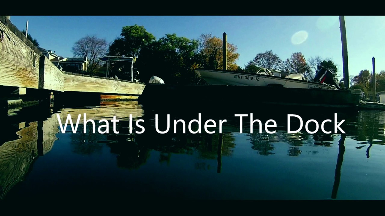 "What Is Under The Dock" A Short Film - YouTube