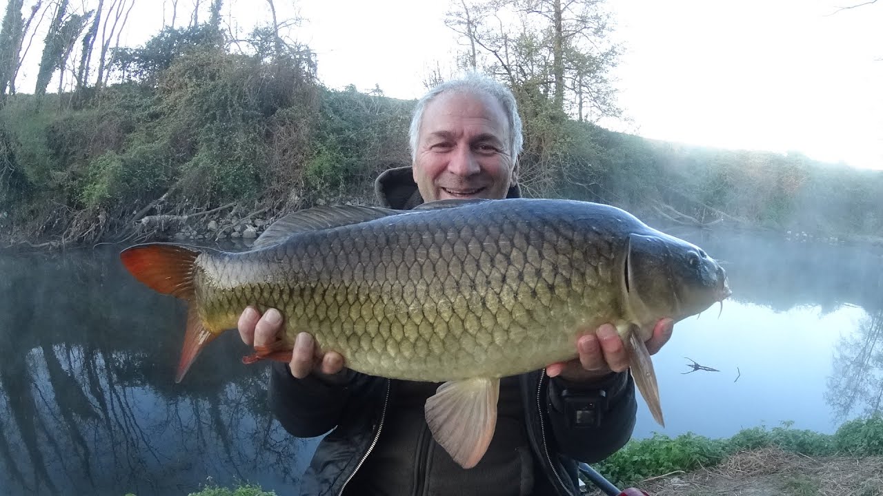 Carpe kg 5,8 e kg 4,8 - YouTube