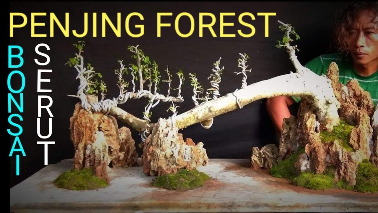 Cara bikin penjing gruping(forest) dari bahan Bonsai serut - YouTube