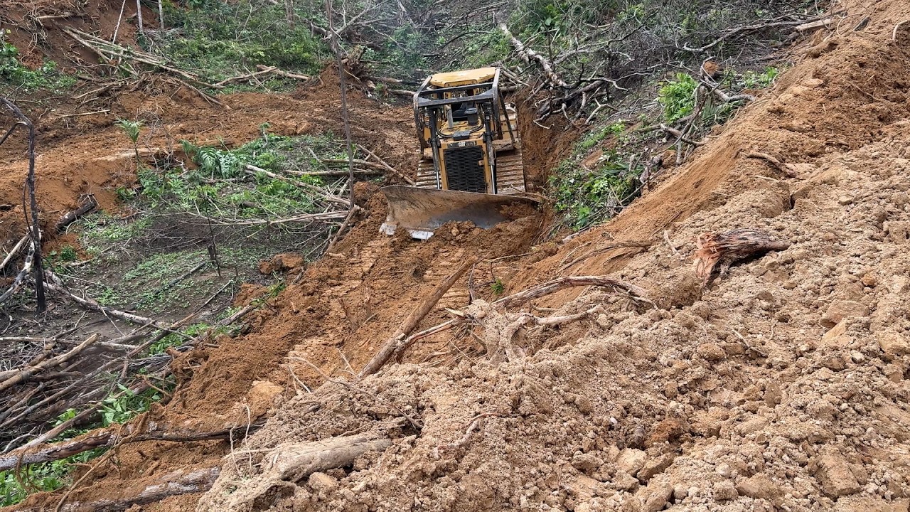 D6R XL Bulldozer Creates a Terrace in Oil Palm Plantations - YouTube