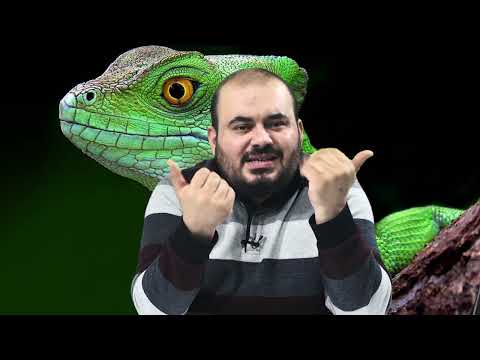 RÜYADA KERTENKELE GÖRMEK Esved Dini Rüya Tabirleri ve Yorumu Rüya Tabiri