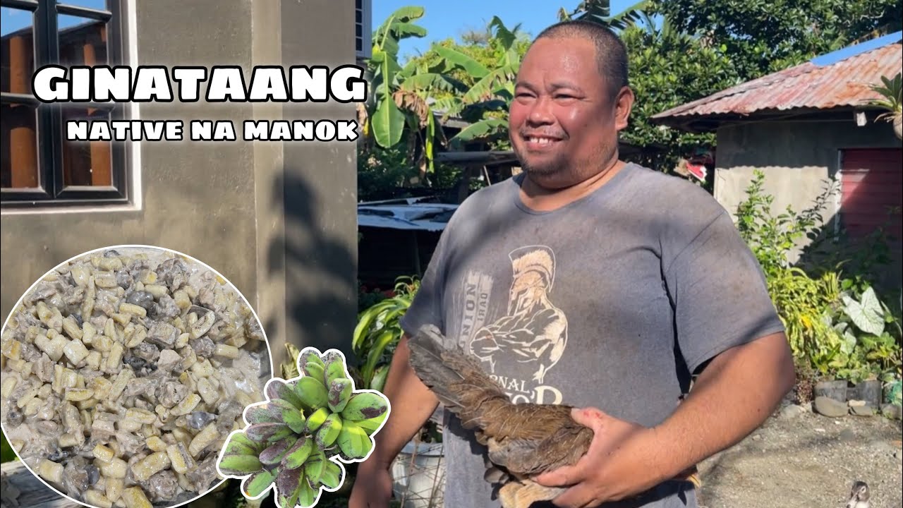 PAGTIBA NG SAGING NA SABA | NATIVE CHICKEN COOKED IN COCONUT MILK ...