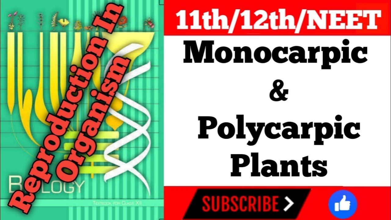 Biology Class 12th Chapter 1 Reproduction In Organisms | Monocarpic And ...