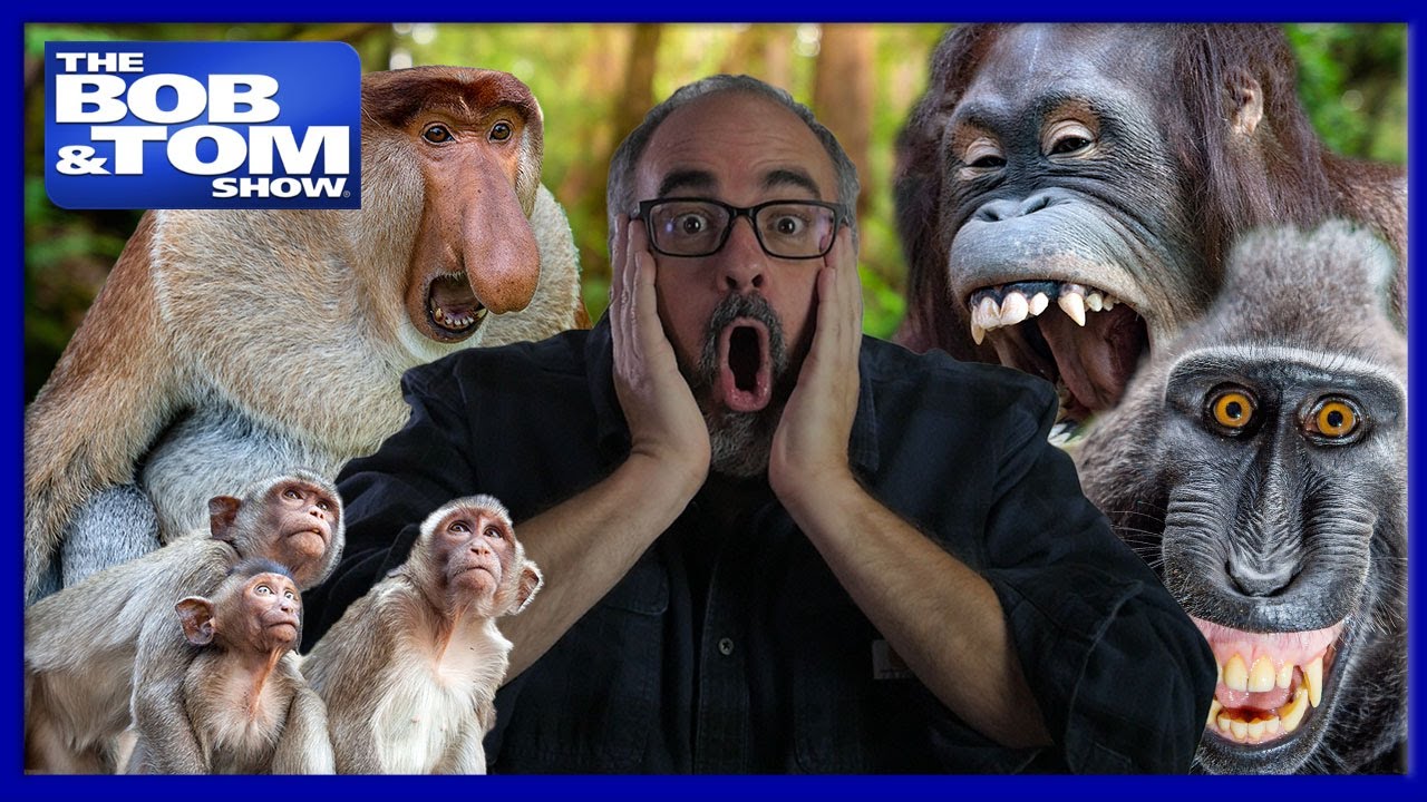 Josh Arnold Is Freaked Out By All Forms Of Monkeys - YouTube