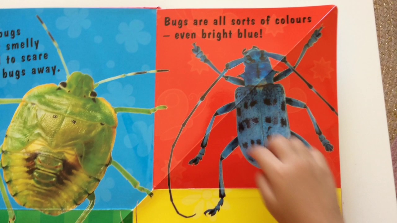 LEARN BUGS & INSECTS FOR KIDS/TODDLERS & PRESCHOOL - YouTube