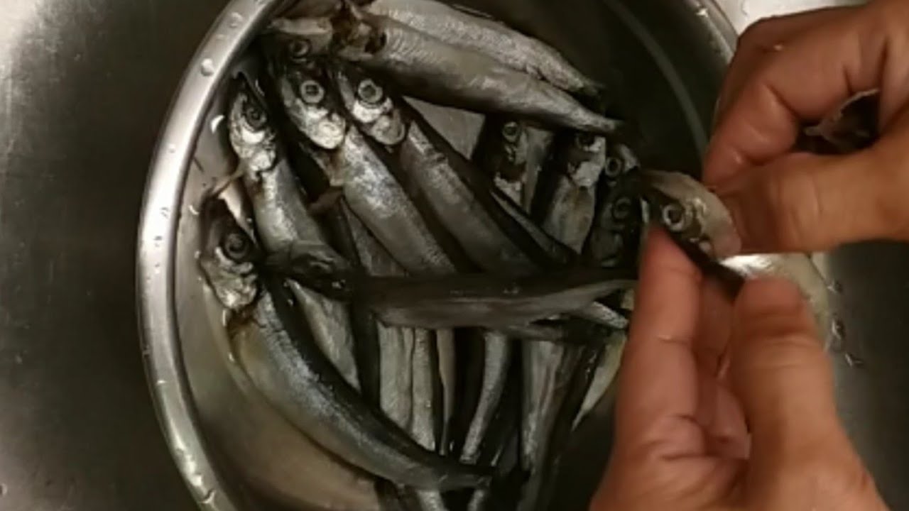 REMOVING GILLS AND WASHING SMALL FISH🐟 #ASMR - YouTube