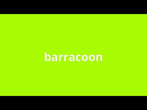 what is the meaning of barracoon - YouTube