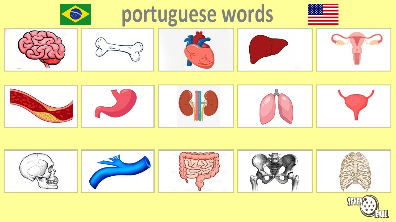 portuguese class - body part in portuguese - YouTube