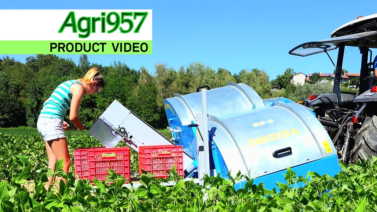 NEW GREEN BEANS and BEANS HARVESTER - FONTANA srl | Raccoglitrice ...