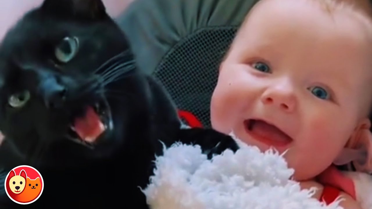 This Baby Has Become the Rescued Cat’s Whole World | Tails & Hugs - YouTube