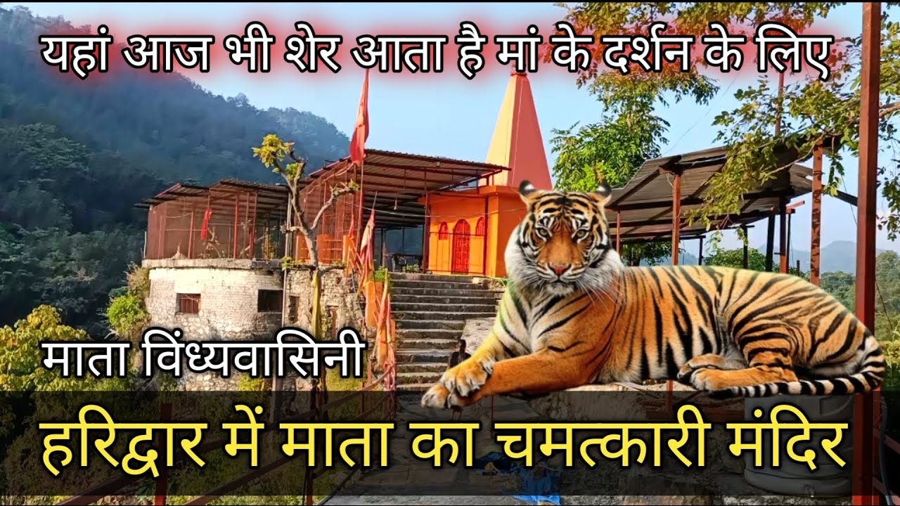 Vindhyavasini Temple || हरिद्वार के पहाड़ों के बीच माता का सुंदर मंदिर || Maa Vindhyavasini ...