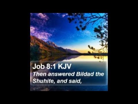 Job 16 chapter 8 the discourse of Bildad - YouTube