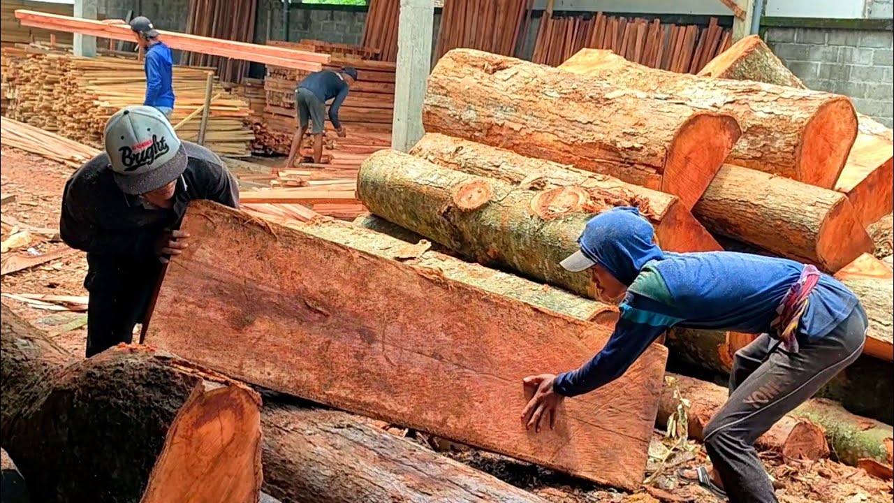 Dikira kayu Bakar,,!! kayu durian super dipotong pendek diSawmil bahan ...