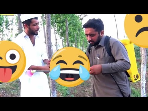 PK Vines / Pk Tv new funny Video 2021 / Pashto Funny Video / Funny ...