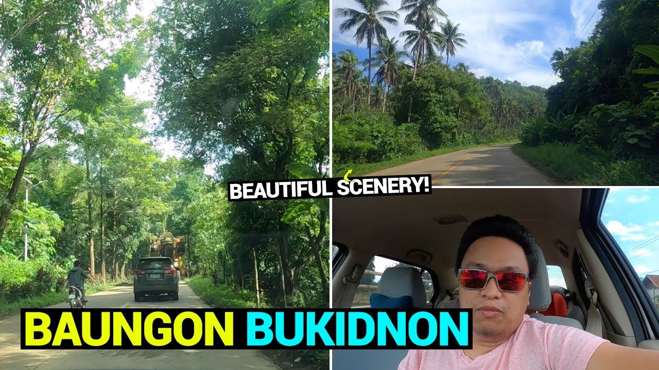 ENJOYING THE BEAUTY OF NATURE | ROAD TRIP GOING TO BAUNGON BUKIDNON ...