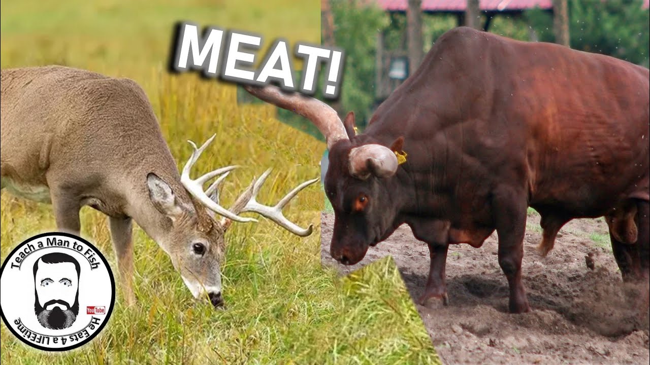 🔵 Head-to-Head Deer vs Beef | Is Beef Better than Deer | Cast Iron ...