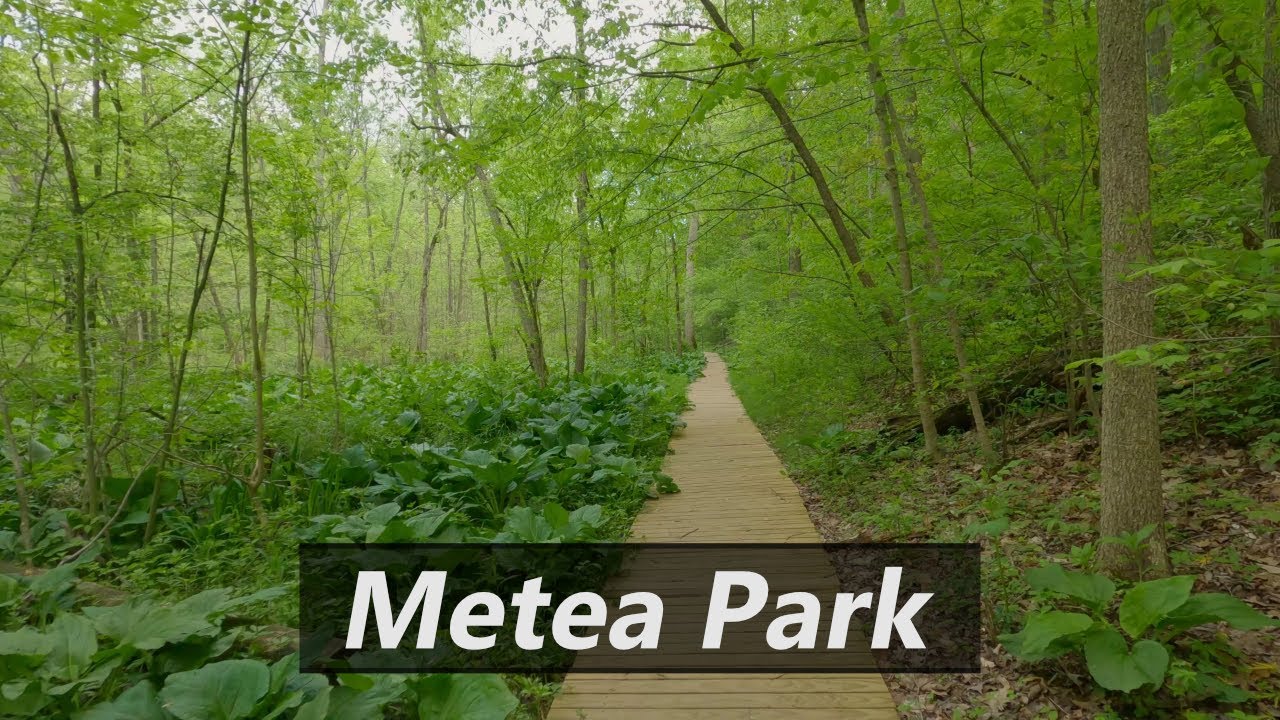 Metea Park Hiking Trail - Leo-Cedarville, Indiana (Ambient Nature ...
