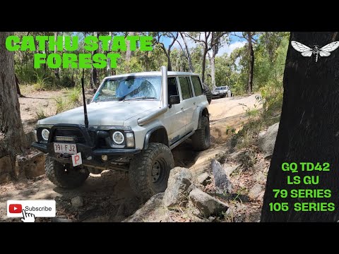 Wheelin In Cathu State Forest Mackay 🏞 - YouTube