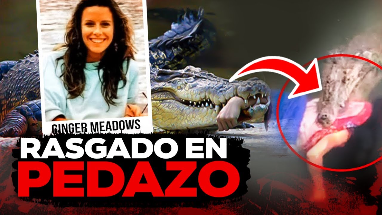 El Ataque de Cocodrilo Más Impactante Jamás Registrado en la Historia ...