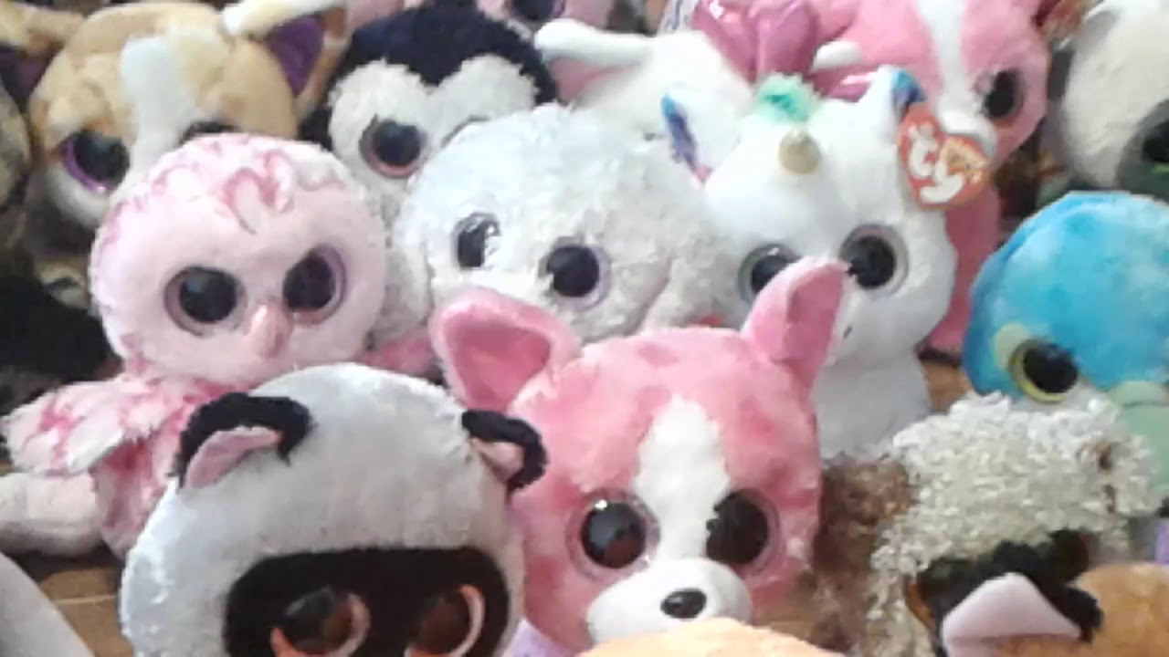 Beanie Boo Collection Video!!! - YouTube