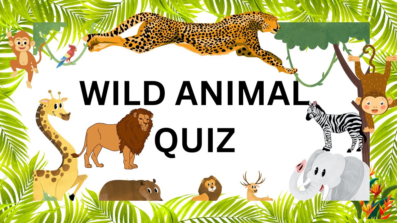 Wild animal quiz for kids|Learn Animal Names|Fun and Exciting Animal ...