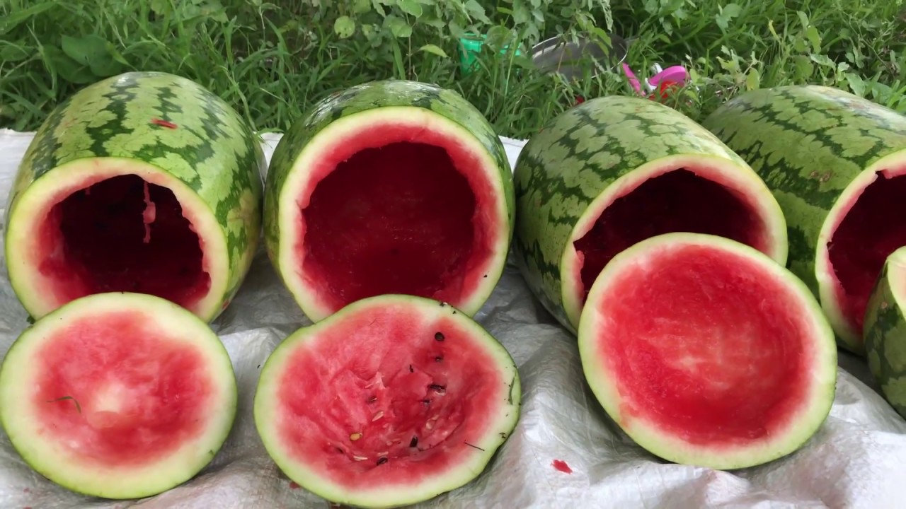 My Grandmas Watermelon chicken | Villagestyle Watermelon Chicken ...