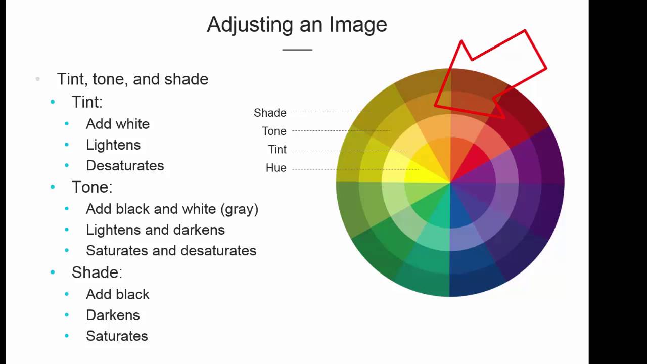 Adobe Photoshop for Beginners - Adjusting an image - YouTube