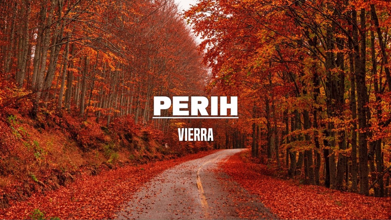 Vierra - Perih (Lirik) - YouTube