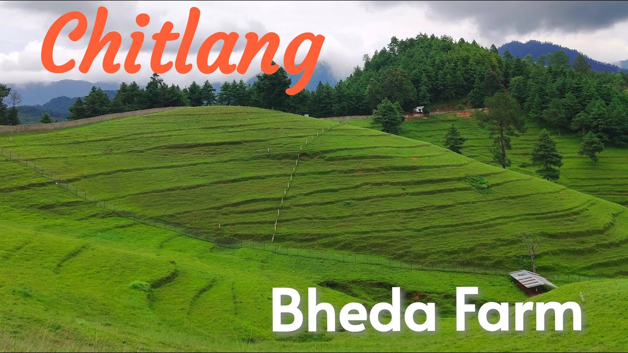 A Trip to Bheda Farm in Chitlang | Places to visit | Makwanpur | Travel ...