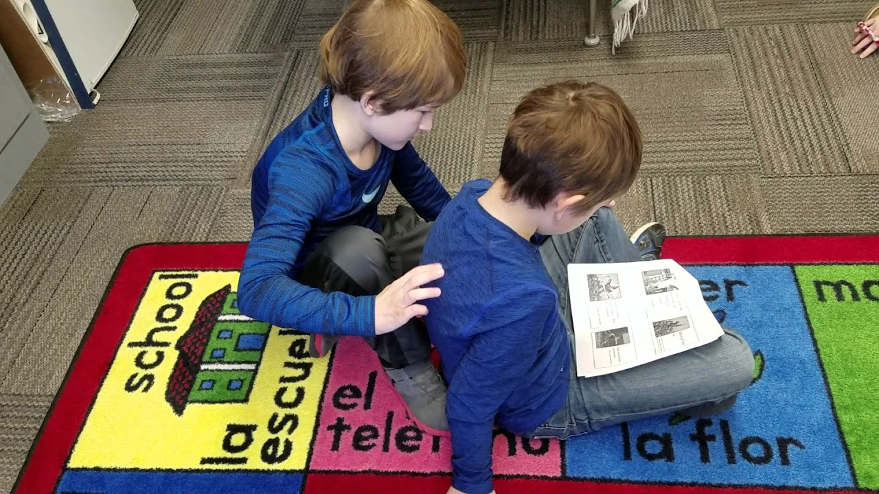 Student Choice - 2nd Grade - Puzzle or Writing on Backs - Activities ...