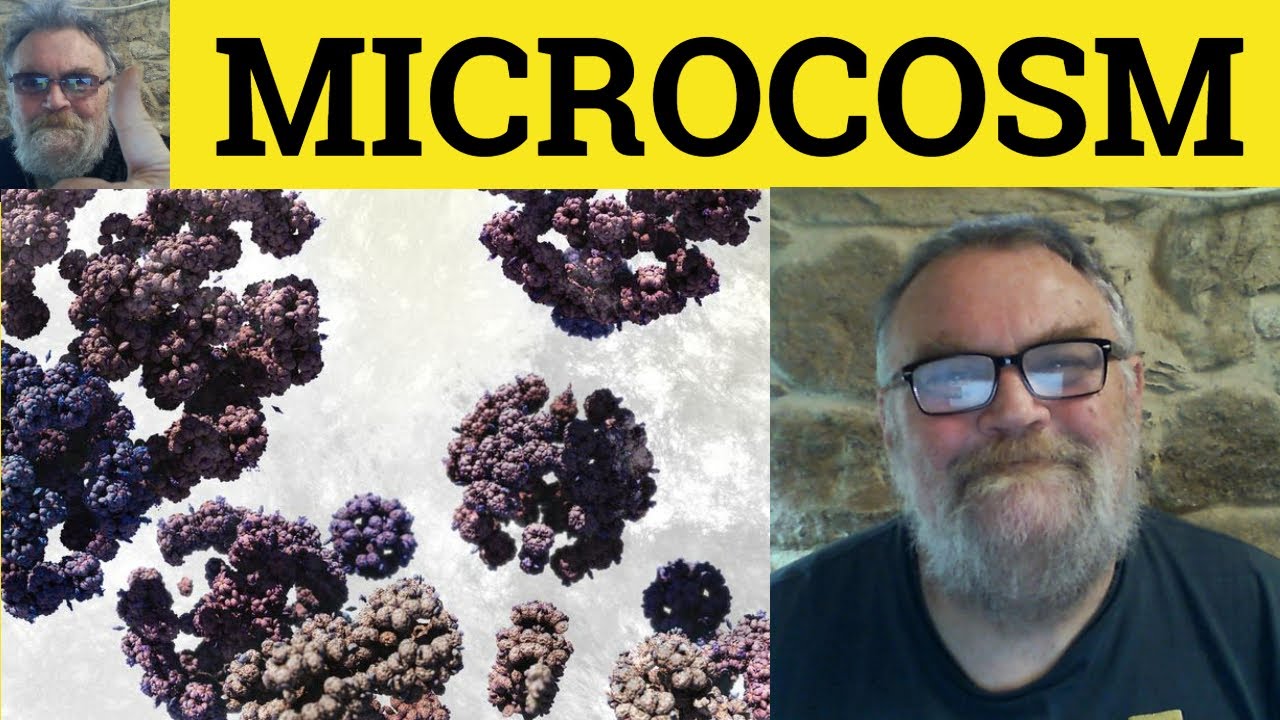🔵 Microcosm Meaning - Microcosm Examples - Macrocosm Defined ...