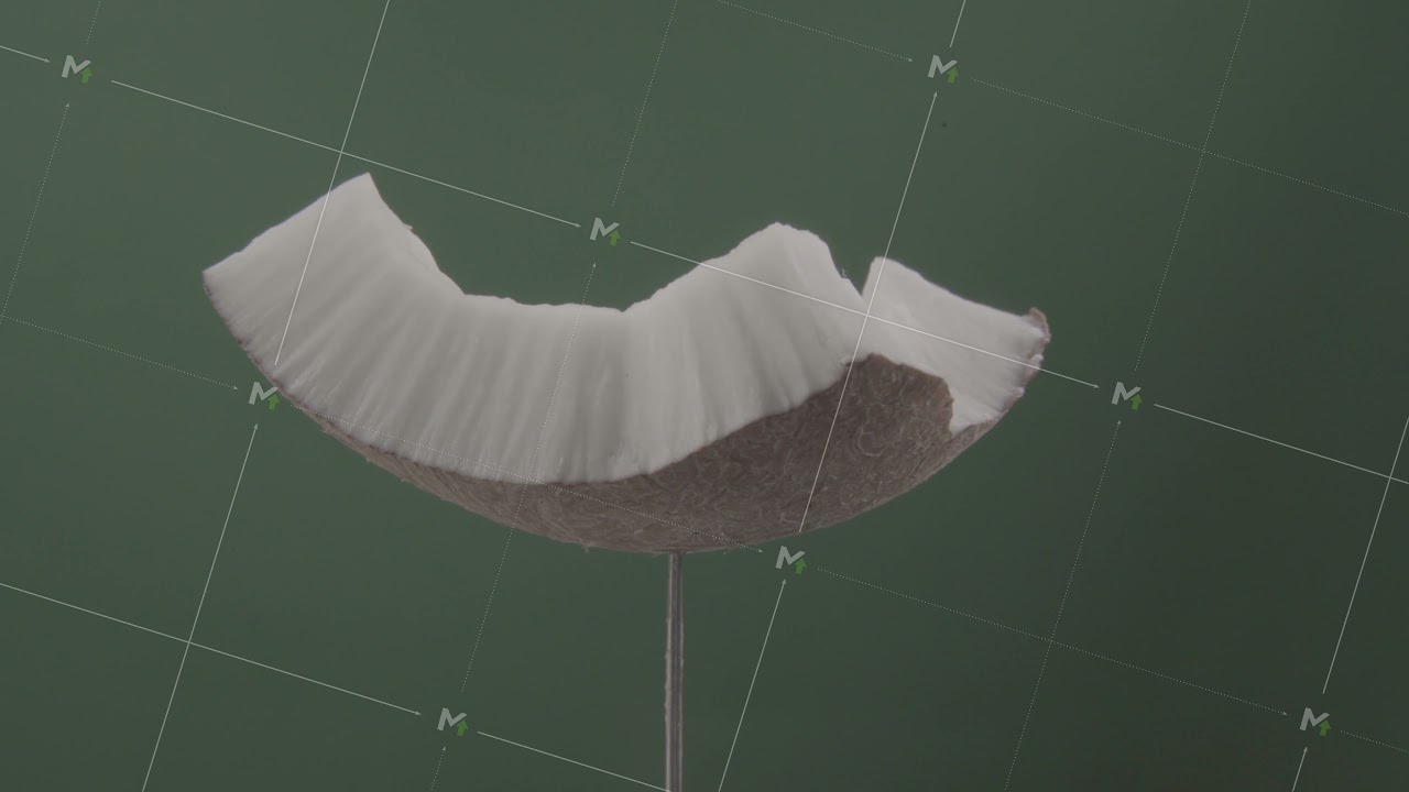 Coconut rotating with loop on green screen for chroma key - YouTube