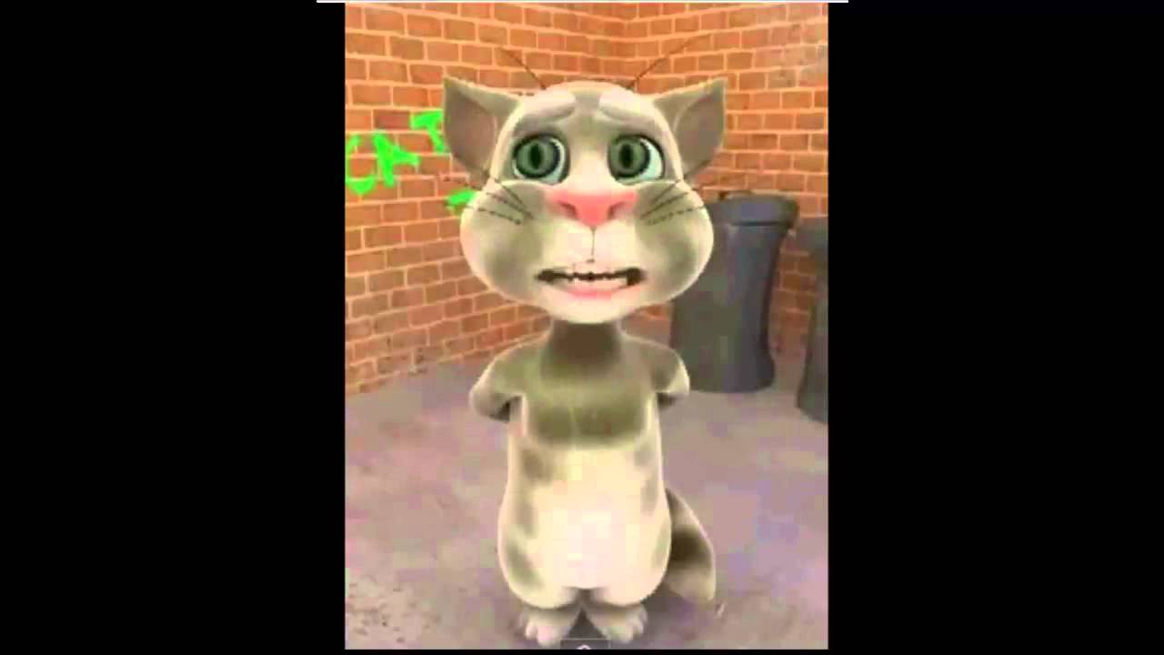 Talking Tom Cat Ya Ya Ya - YouTube