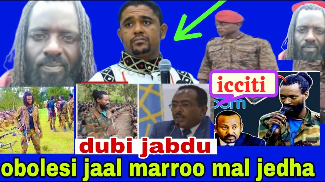 dubi jabdu Wbo fi pipp obolesi jaal maarroo maal jedha - YouTube