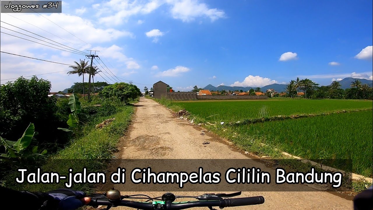 Cihampelas Cililin Bandung Barat, Menikmati Suasana Sawah Pedesaan ...