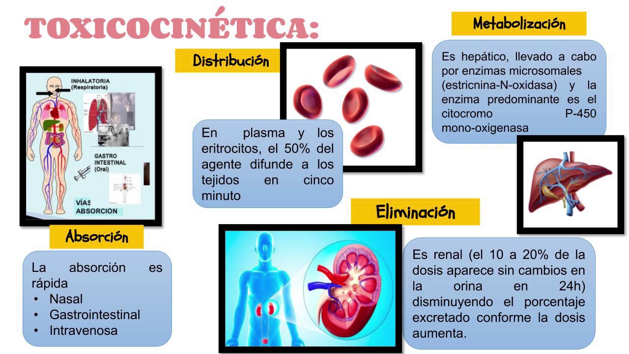 Toxicología de la estricnina (UNSAAC) - YouTube